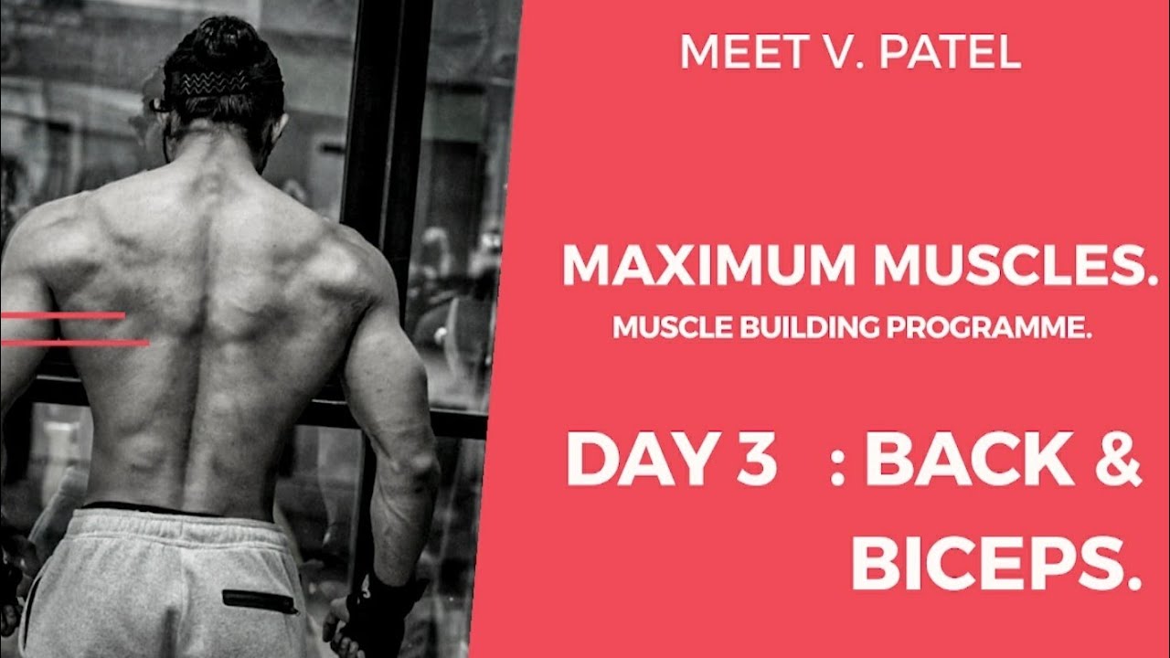 Day 3- Back and Biceps | MAXIMUM MUSCLES (Lean Muscle Building Program ...