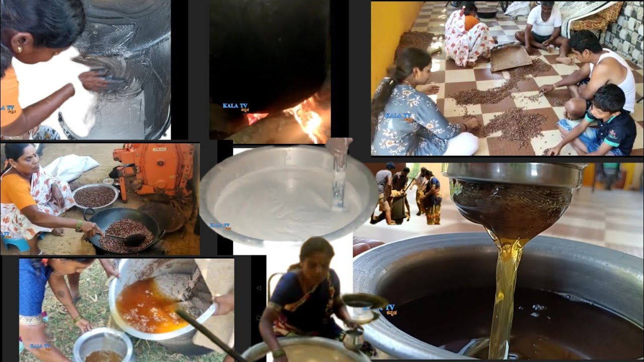 Traditional Method Of Meking Castor Oil Castor Oil Kala Tv traditional-method-of-meking-castor-oil-castor-oil-kala-tv