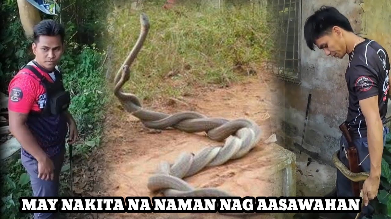 SANIB PWERSA TOL AT COBRA PRINCE.. - YouTube