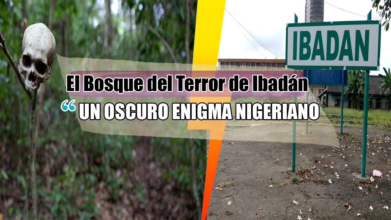 El Bosque del Terror de Ibadán: Un oscuro enigma Nigeriano - YouTube