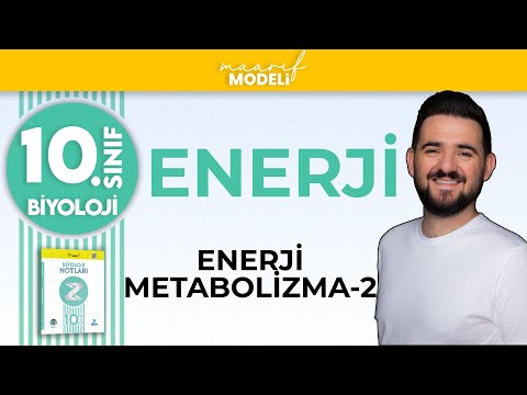 Enerji Metabolizma İlişkisi-2 | Enerji 1.Ünite | 10.sınıf biyoloji maarif model | ZEDUVA