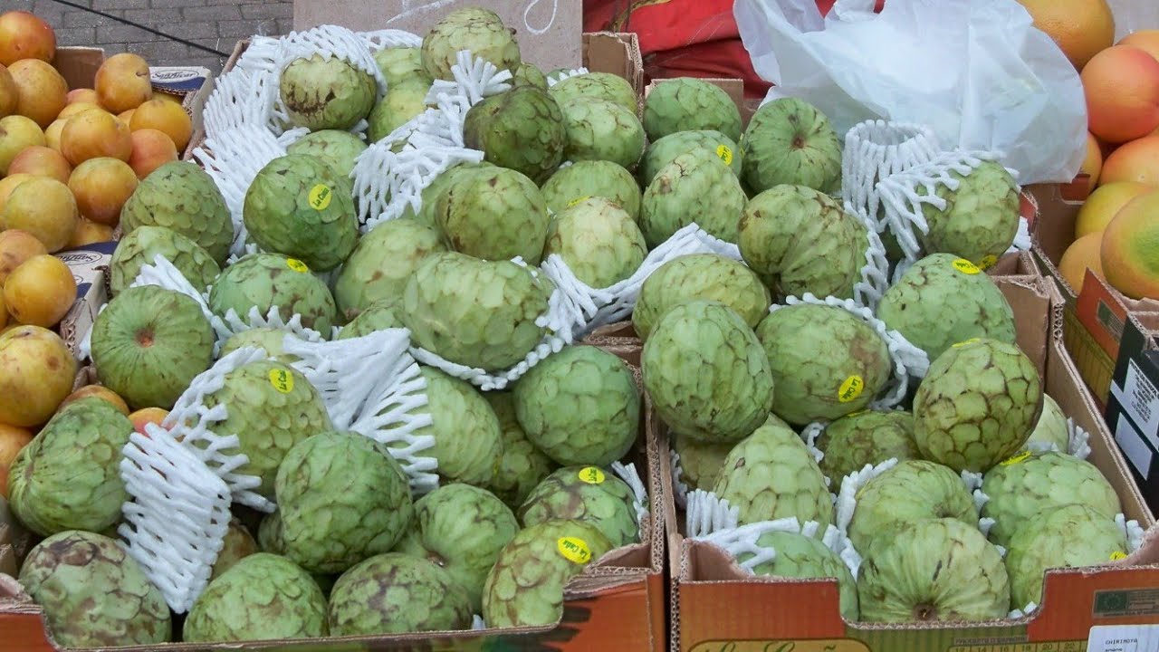 L’incroyable variété des primeurs cultivés au Maroc et qu'on ne trouve ...
