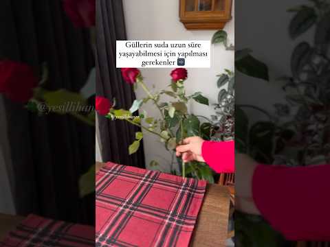 Vazoda gül bakımı🌹 #çiçeklerim #cicekbakimi #cicek