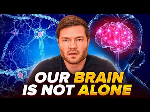 Neurons vs. Glia: Who REALLY Runs the Brain? - YouTube