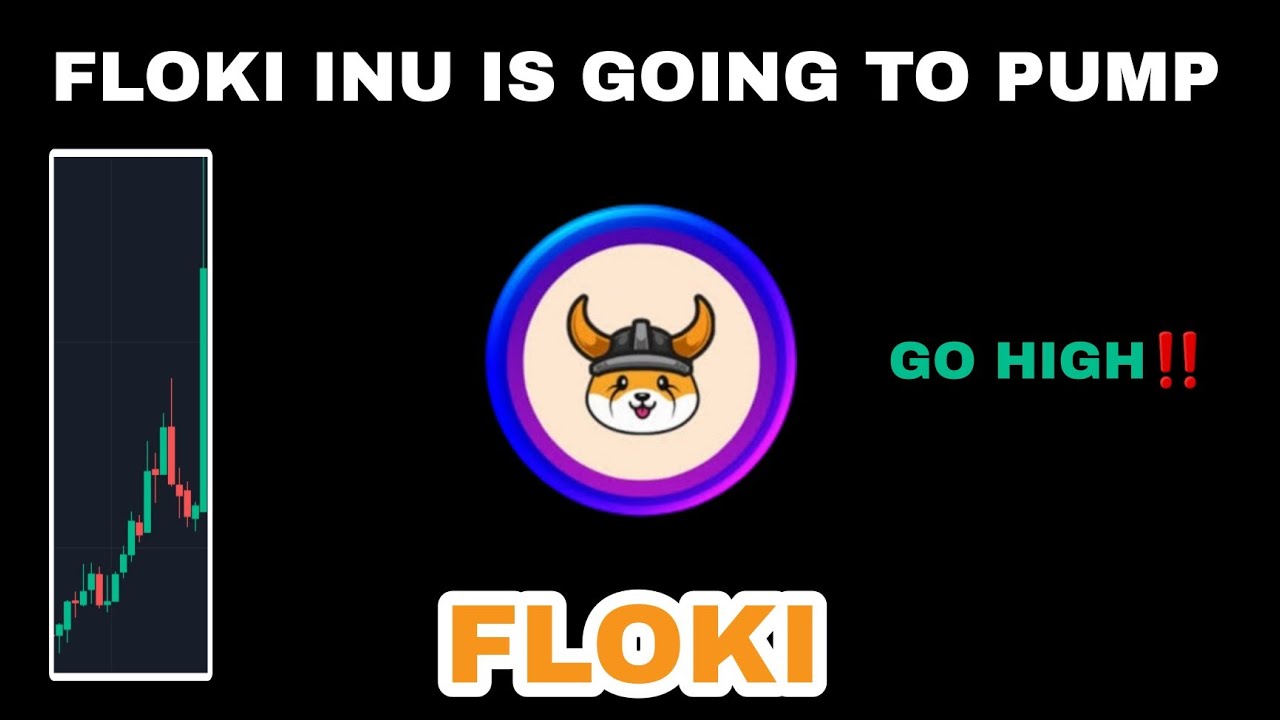FLOKI TOKEN IS GOING TO PUMP IN 2023‼️ FLOKI INU PRICE IS GOING TO HIGH ...