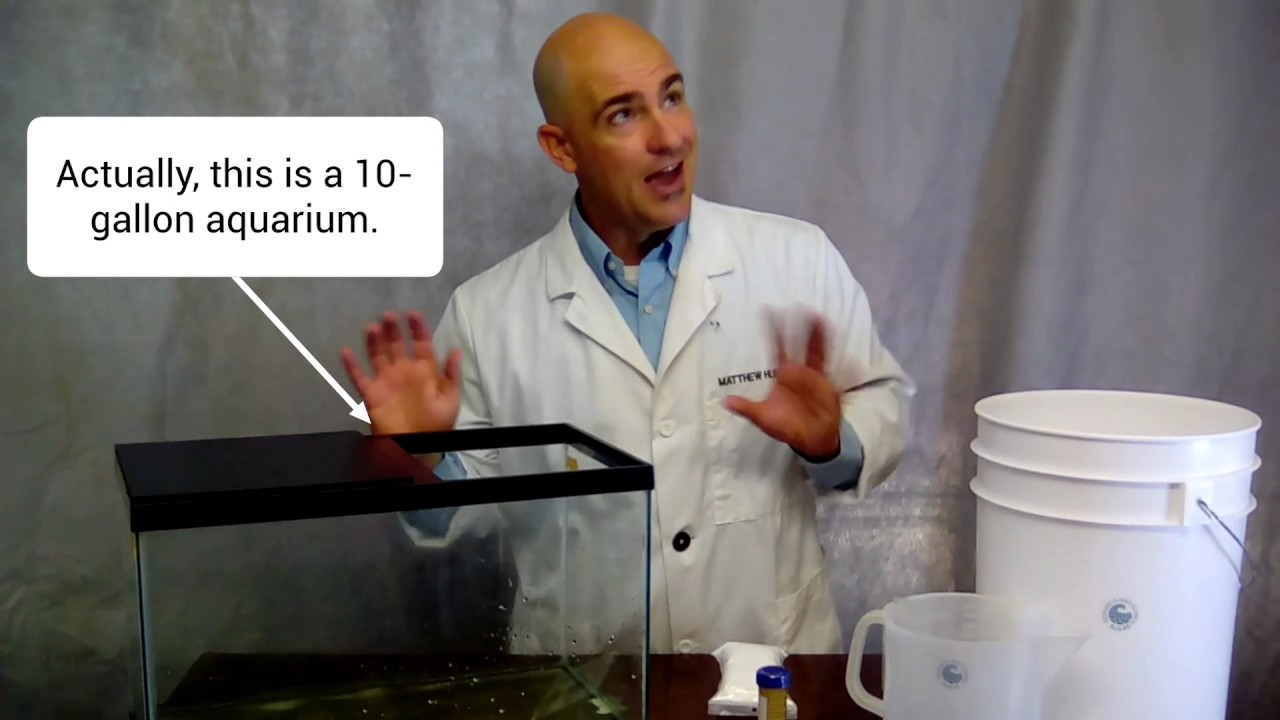 Algae Research and Supply: 5-gallon Algae Culture Kit - YouTube