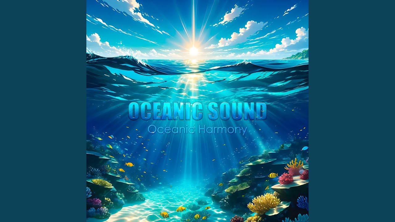 Seashell Song - YouTube