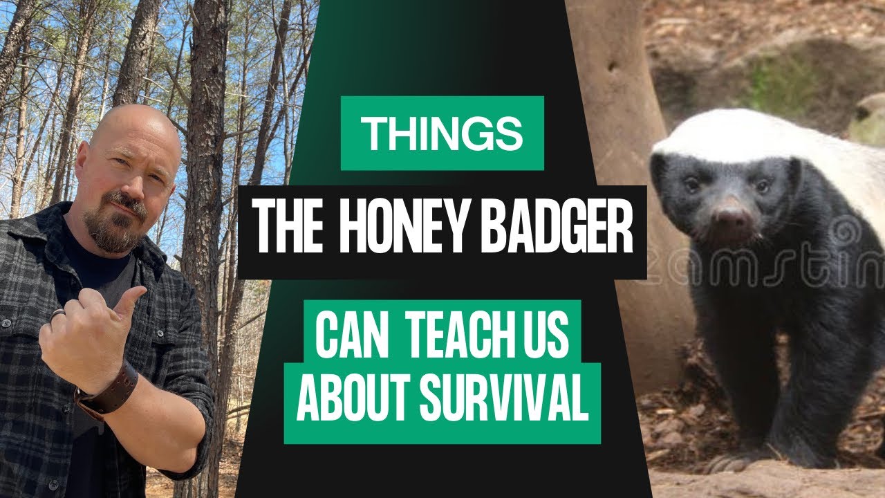 Things the Honey Badger Can Teach Us About Surviving - YouTube