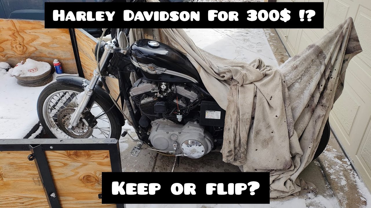 I BOUGHT A BROKEN HARLEY DAVIDSON FOR 300$!!! Harley Build Ep.1 ...