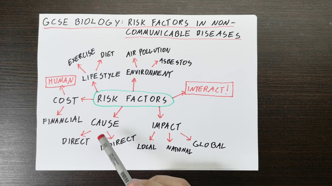 GCSE Biology Risk Factors in Non Communicable Diseases - YouTube