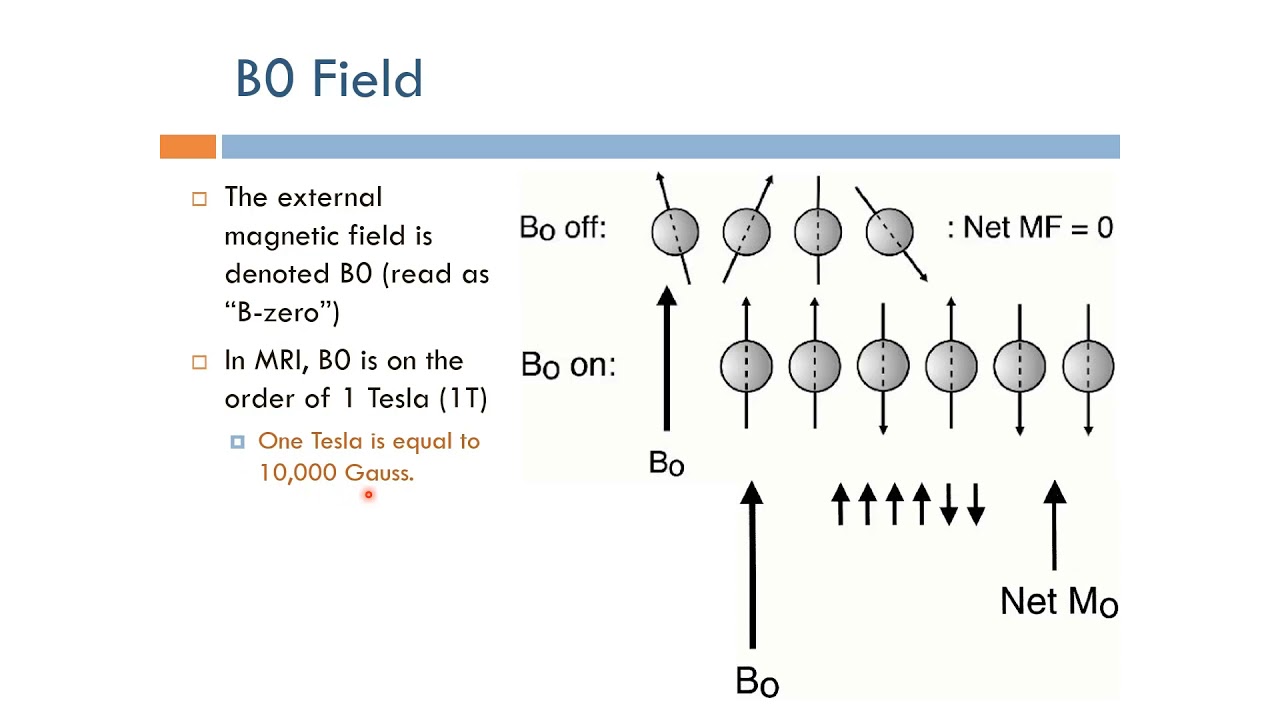 Short Topics in Magnetic Resonance Imaging: B0 Field (Arabic Narration ...