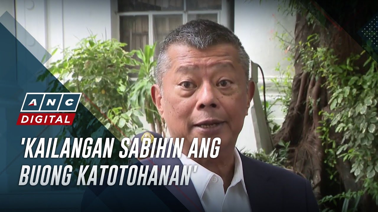 Remulla on Discaya couple: Witness protection requires telling the ...
