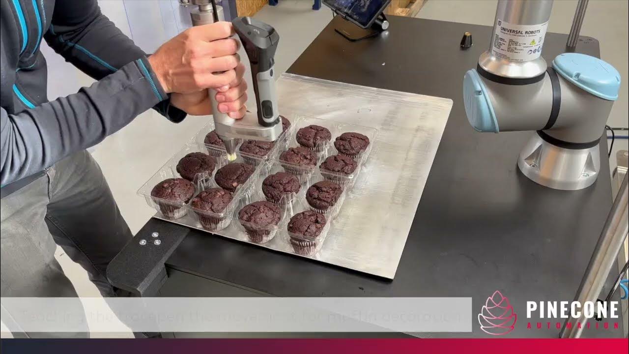 Pinecone Automation & No-Code Robotics: the Multi-Bot for automated ...