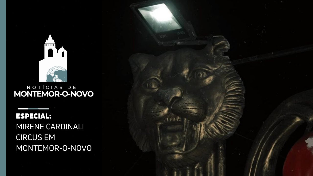 Especial: Mirene Cardinali Circus em Montemor-o-Novo - YouTube