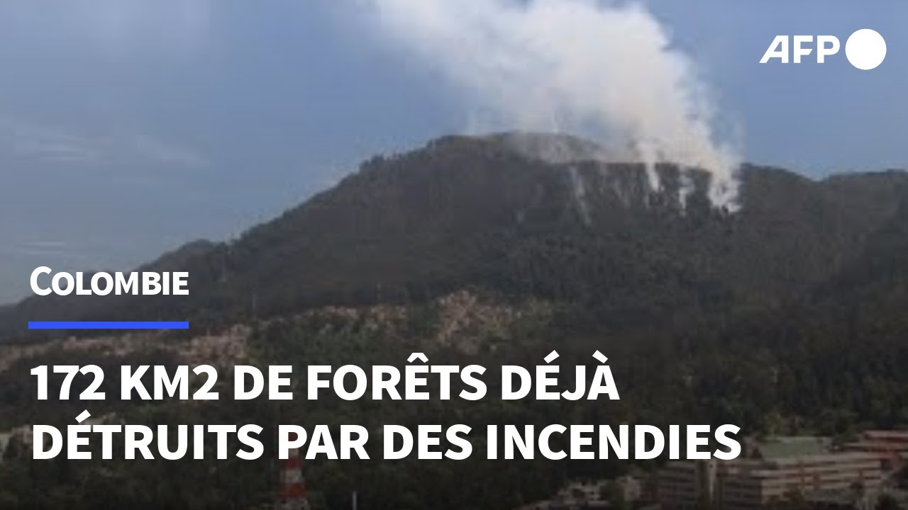 Colombie : les incendies ont déjà détruit 172 km2 de forêts | AFP - YouTube