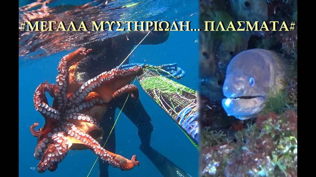 ΨΑΡΟΤΟΥΦΕΚΟ με ΜΕΓΑΛΑ ΜΥΣΤΗΡΙΩΔΗ ΠΛΑΣΜΑΤΑ🔱| SPEARFISHING with BIG SEA ...