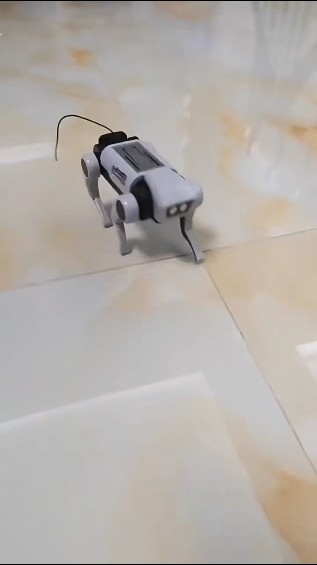 Robot Remote Control Mechanical Dog With Science Teaching Assembling ...