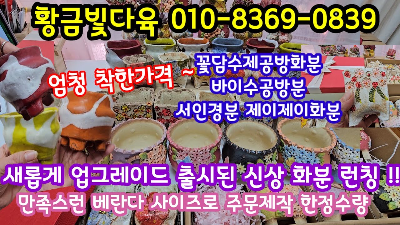 다육이 신상 화분 런칭 언박싱 🌸꽃담수제화분 바이수공방분 서인경공방 제이제이분 베란다 사이즈로 한정수량 👍황금빛다육 010