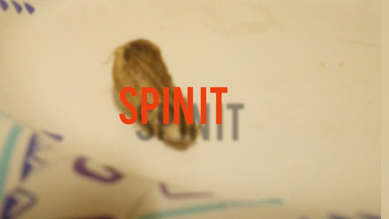 SPIN IT-Chance Jenkins - YouTube