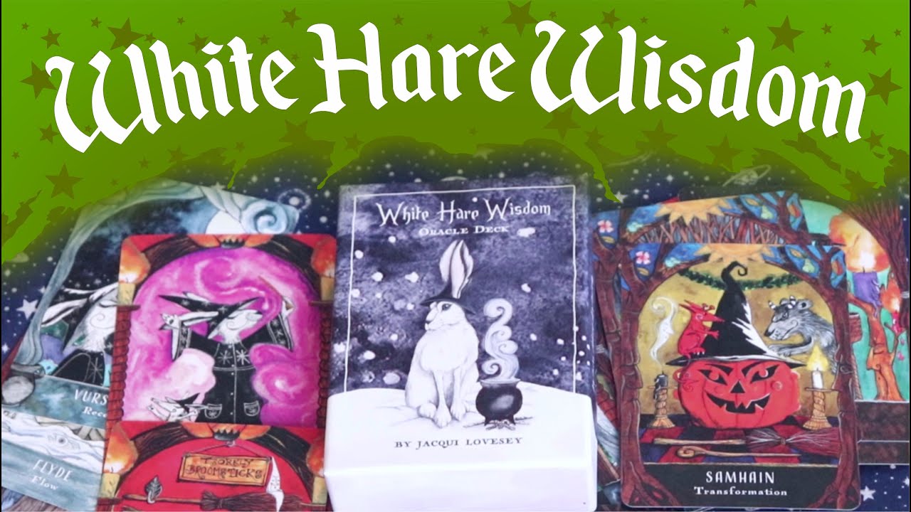 WHITE HARE WISDOM ORACLE 🐇 DECK REVIEW - YouTube