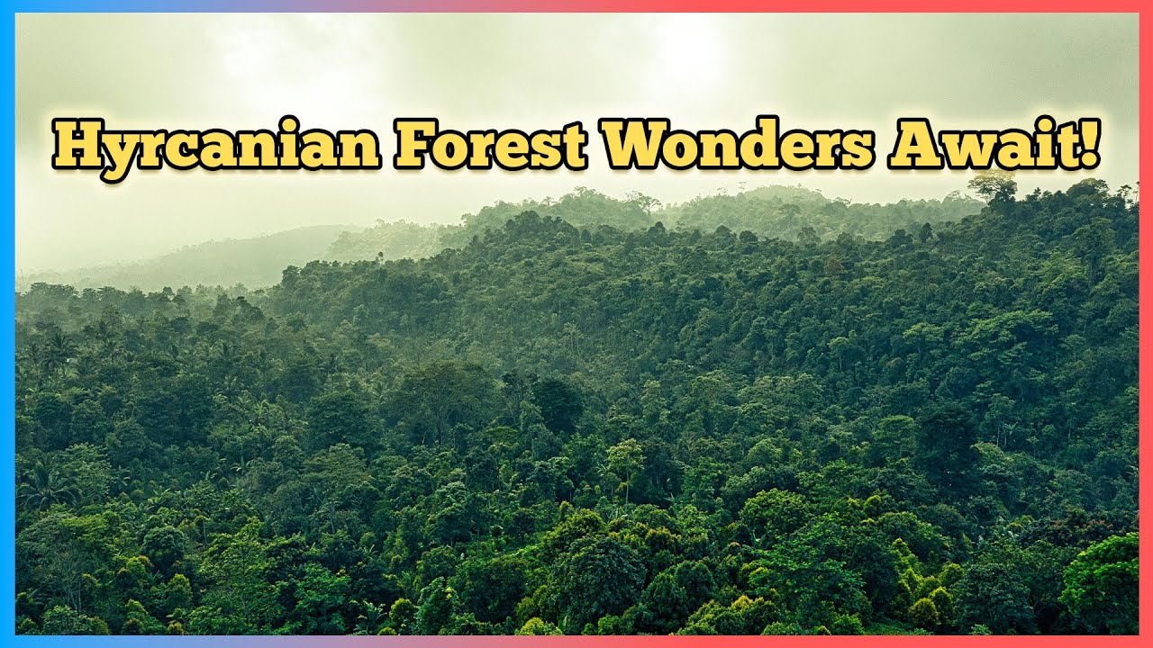 Into the Heart of Iran’s Ancient Hyrcanian Forest - YouTube