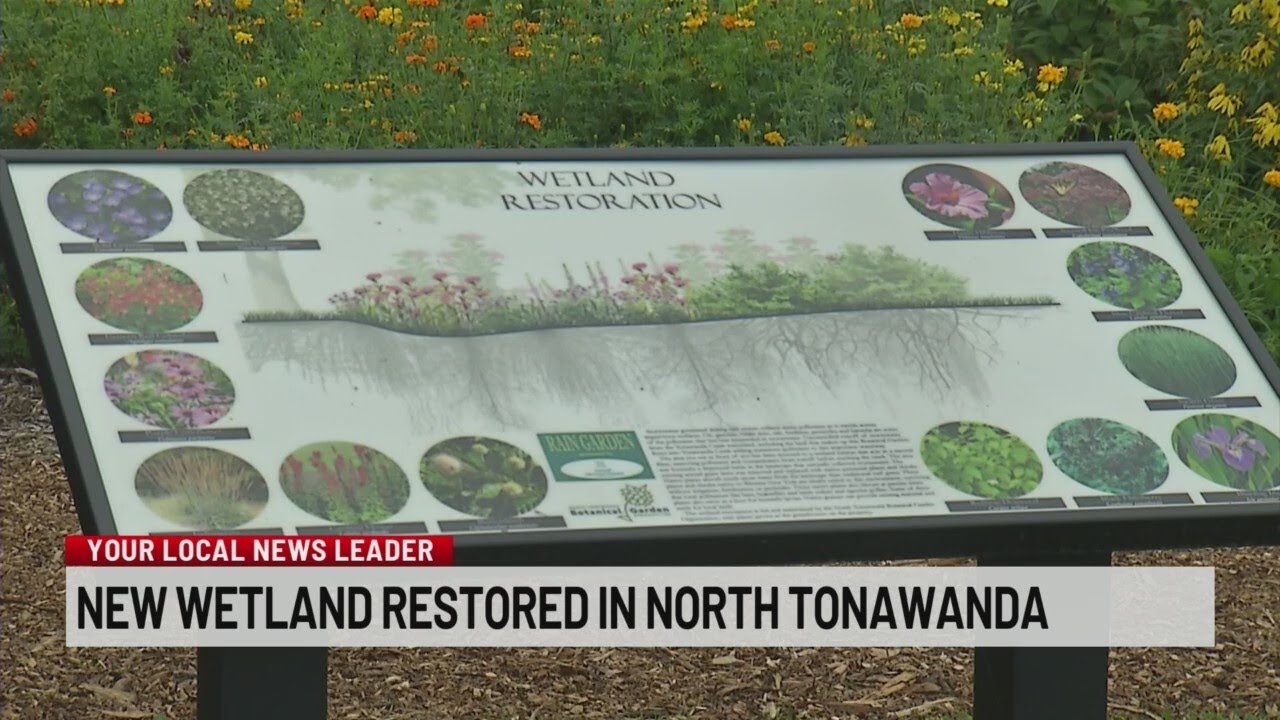 North Tonawanda unveils newly restored wetlands area after 6 years of ...
