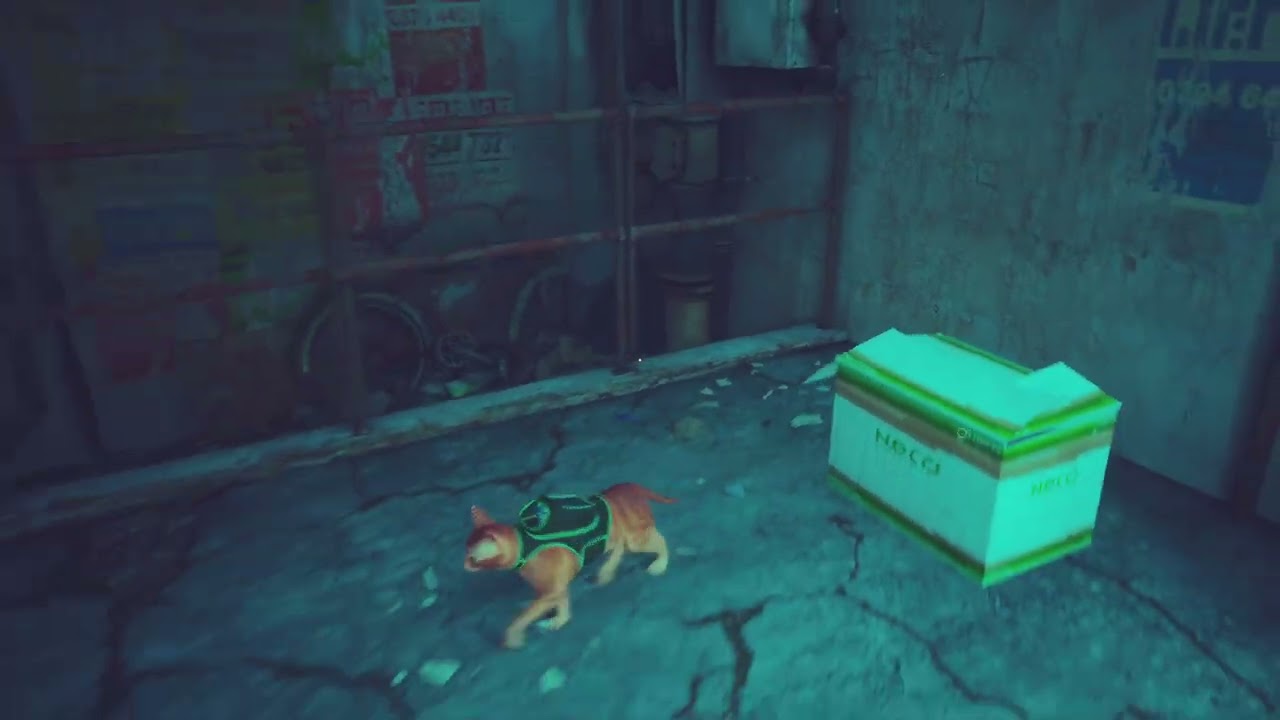 Stray Jumping Into A Box - YouTube