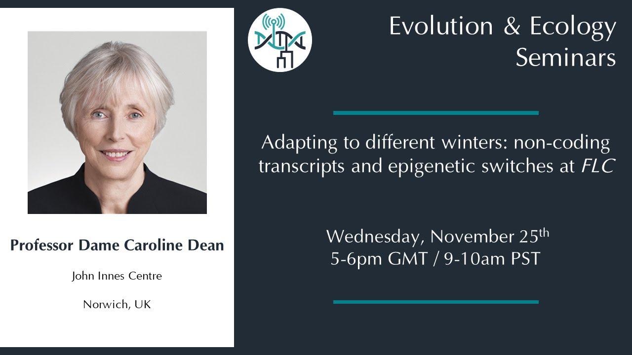 [Caroline Dean] Adapting to different winters: non-coding transcripts ...