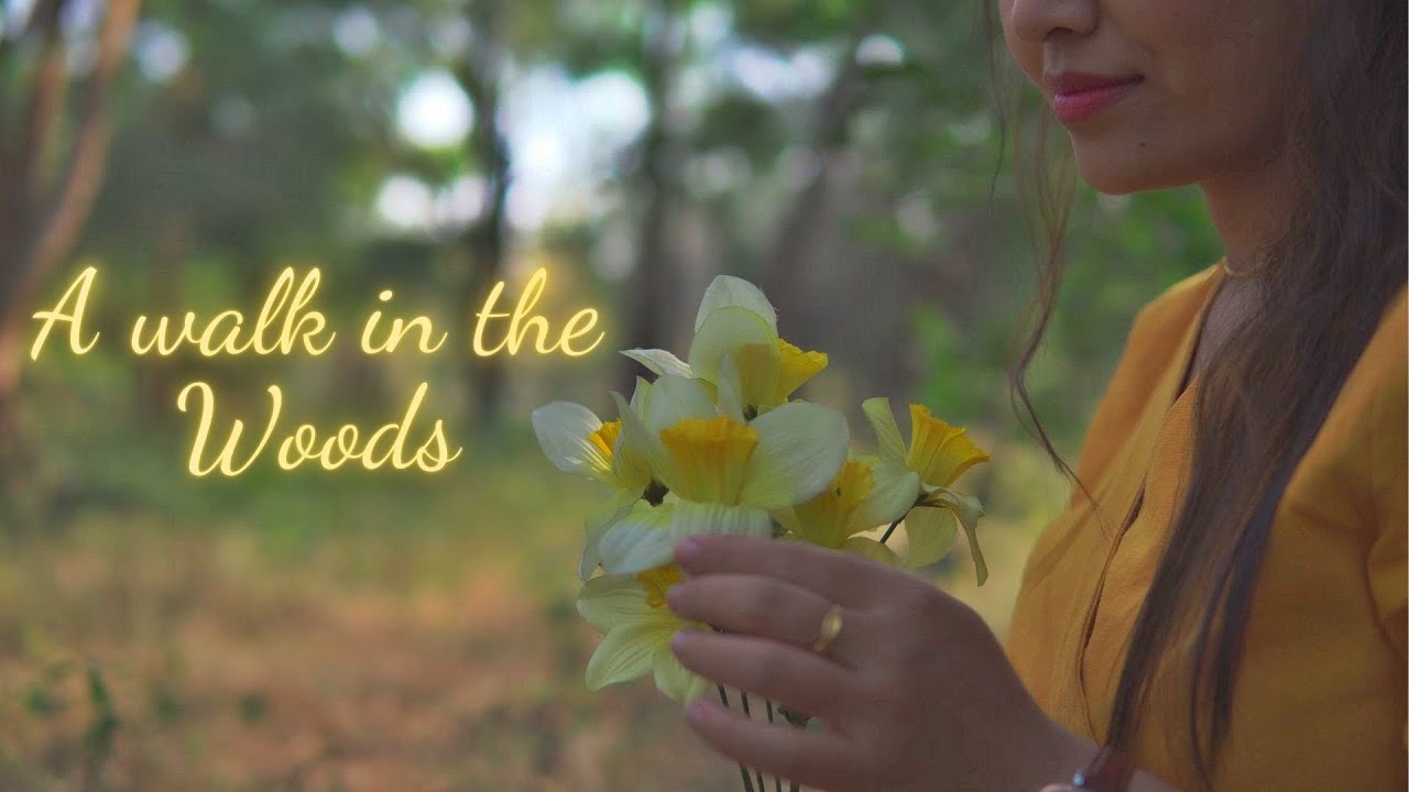 A Walk in the Woods | 4K Cinematic (Shot on Sony a6600 + Sigma 30 mm f ...