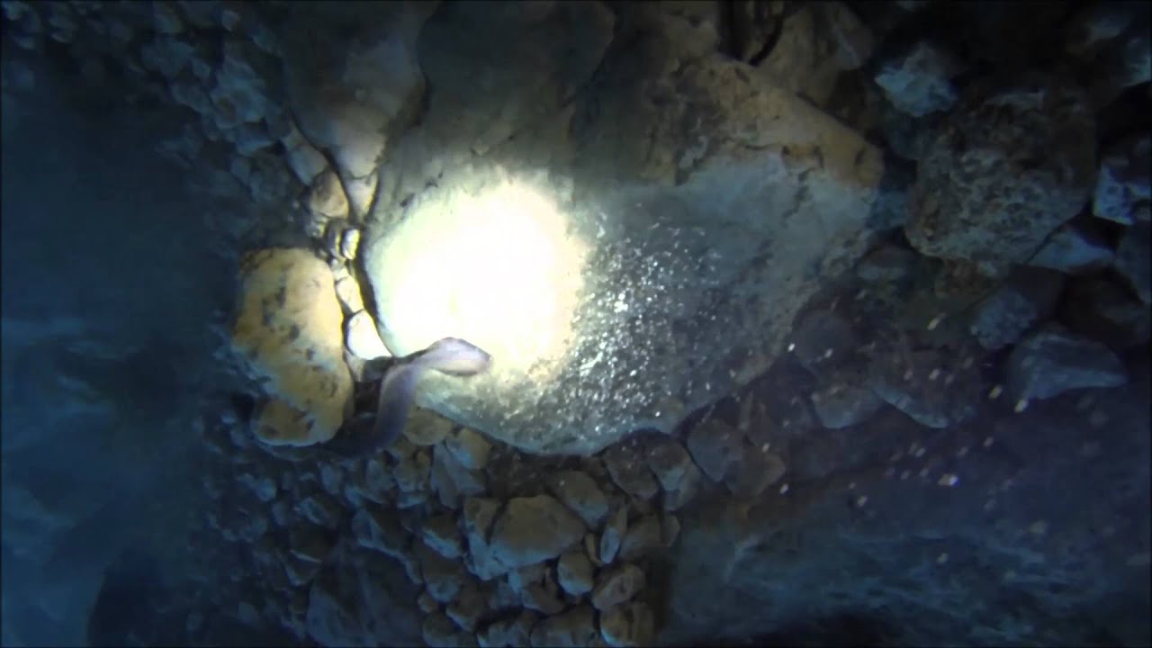 vortex spring cave - YouTube