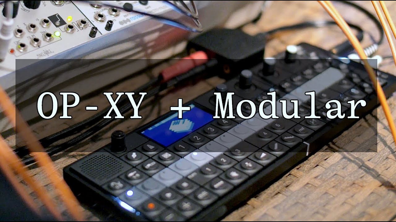 OP-XY meets Modular // First Try - YouTube