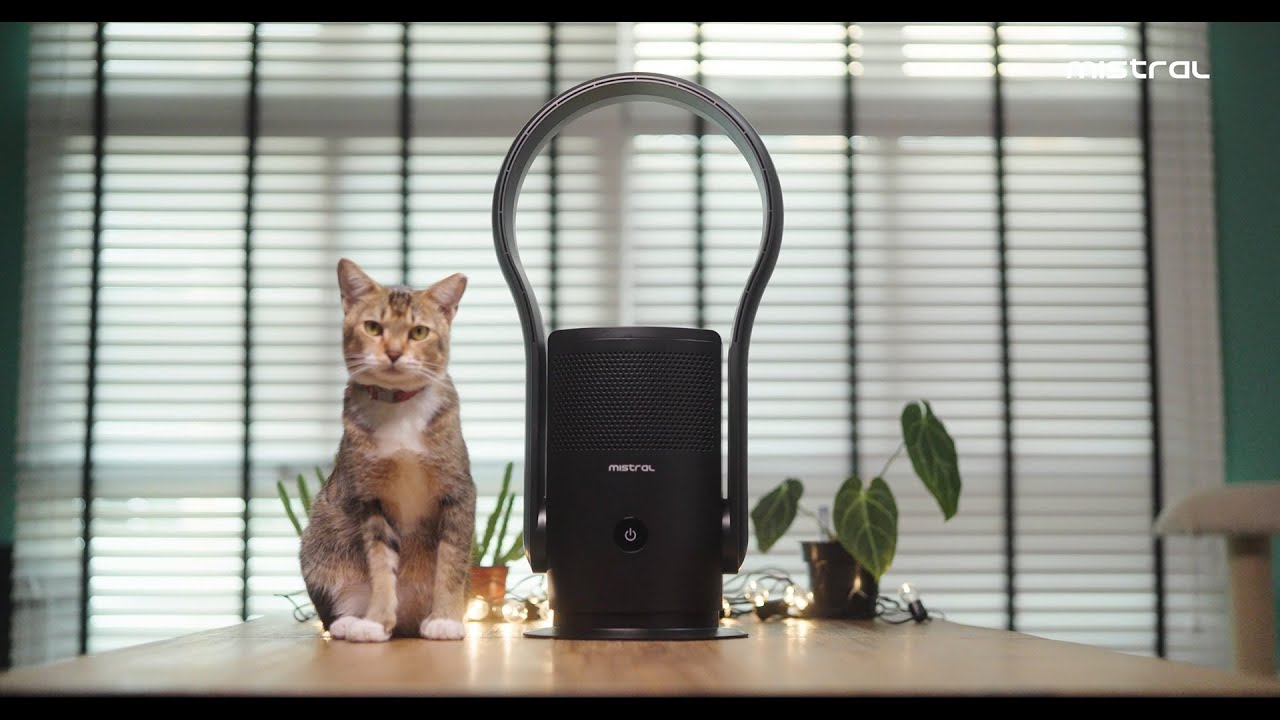 Mistral Mini Blade Free Fan MBFAP250 (Full) - YouTube