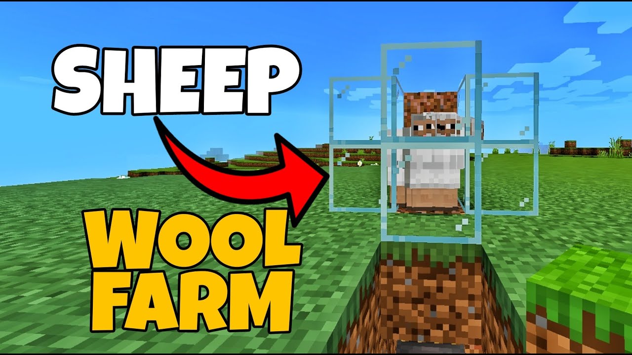 Sheep Wool Farm Minecraft 1.19 - YouTube