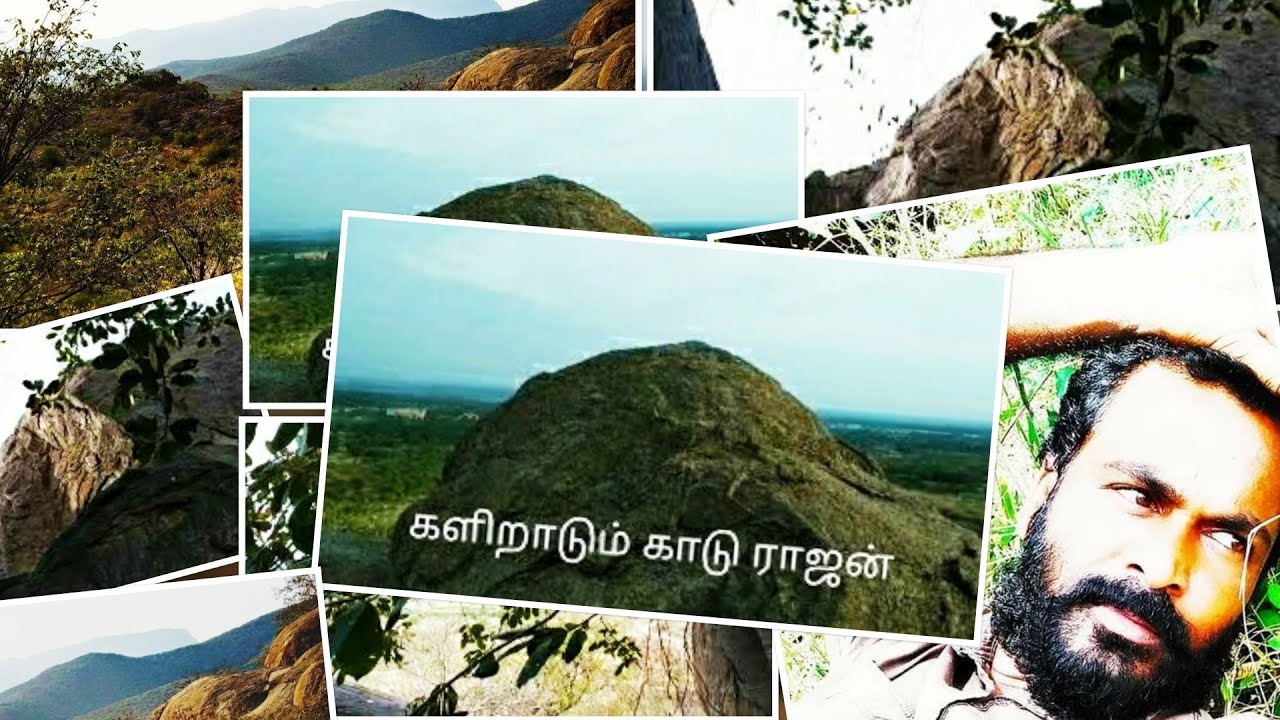 மாம்பூக்கள் பூக்க! மழை வாராதோ வனமே! | ELEPHANT STORY | DHIMBAM HILLS ...
