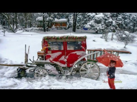ASYA ACER 3 YAŞINDA (Doğum Günün Kutlu Olsun)