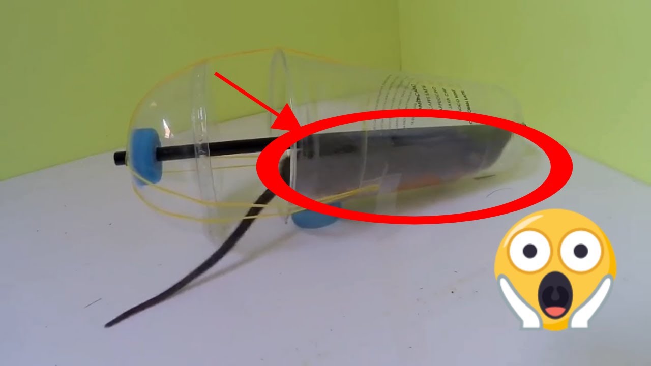Make 5 Easy Mouse Rat Trap Youtube