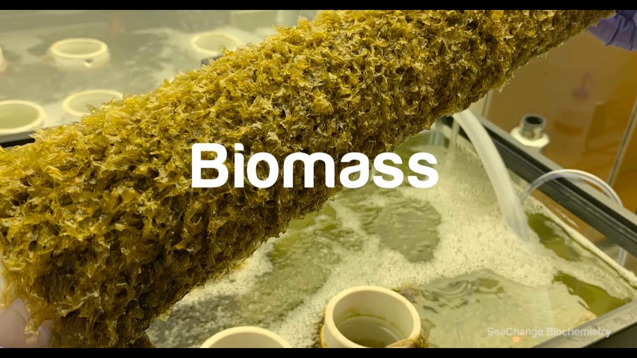 Beyond Innovation S3;E03: regenerative farming, ending world hunger ...