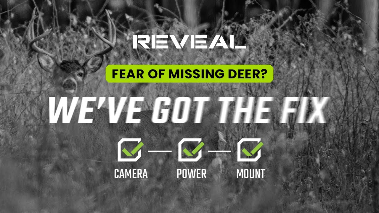 Beat the Fear of Missing Deer with REVEAL - YouTube