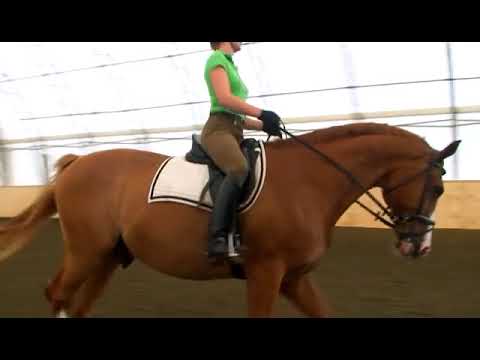 #3: Leg Position — 40 Fundamentals of English Riding - YouTube