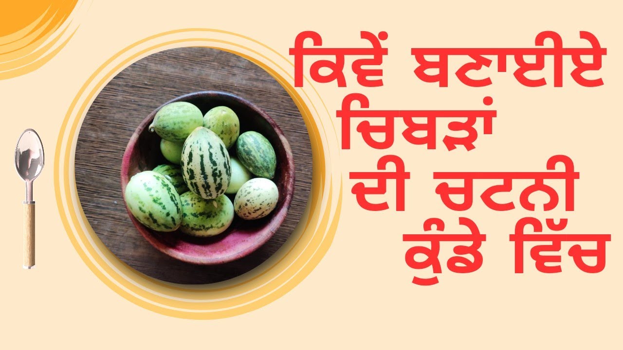 Chibad Di Chatni ਚਿਬੱੜਾ ਦੀ ਚਟਣੀ चिब्बड़ की चटनी@GlobalFood678 - YouTube