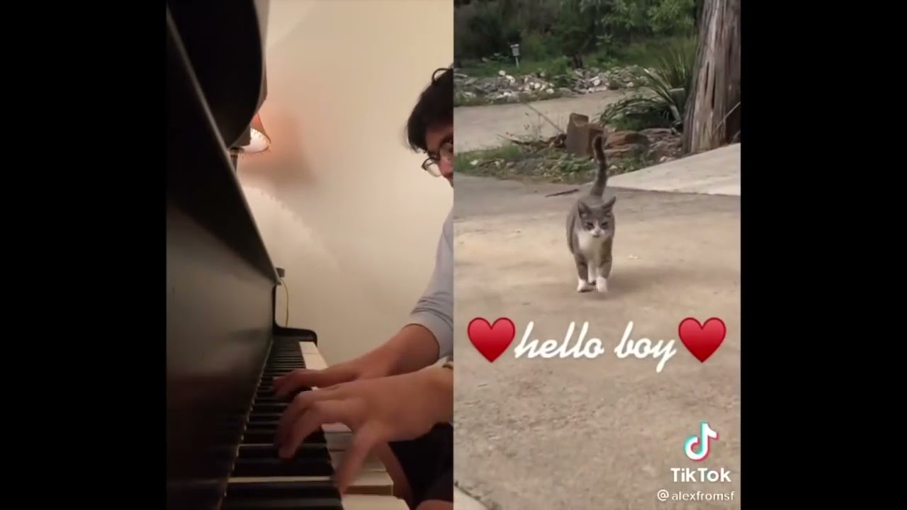 Here Comes The Boy Tiktok Duet Chain YouTube here-comes-the-boy-tiktok-duet-chain-youtube