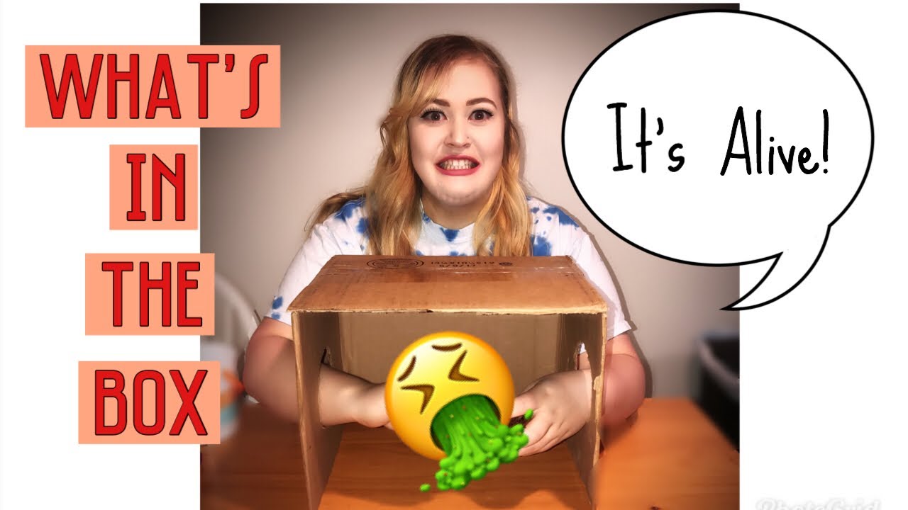 What’s In The Box? ** It’s ALIVE! - YouTube