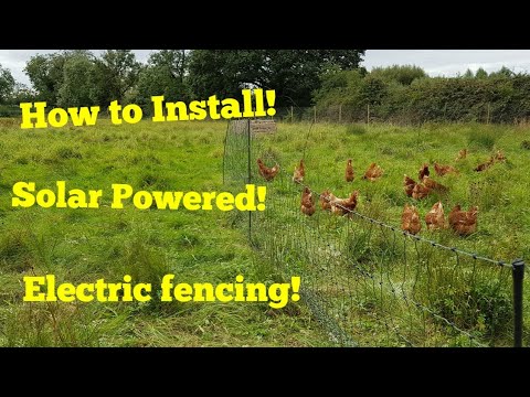 How to Install electric fencing for chickens (sheep, pigs, ducks, geese ...