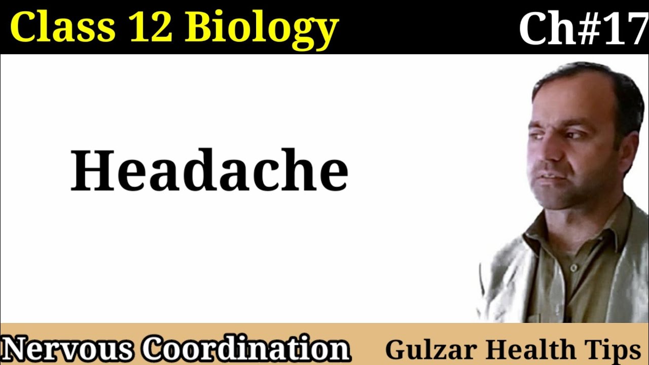 Headache | it's types, causes, symptoms and treatment | Class 12 ...