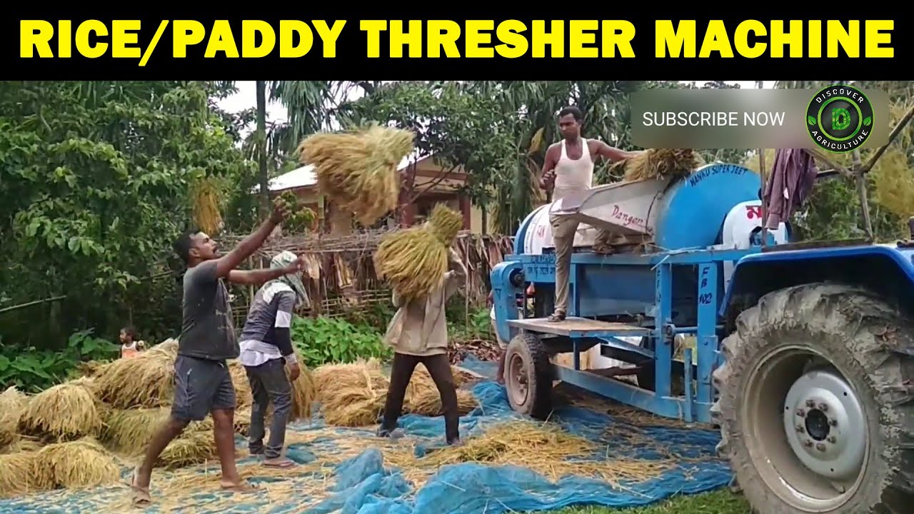 Paddy Thresher Machine / Rice Thresher Machine | Agriculture Machine ...