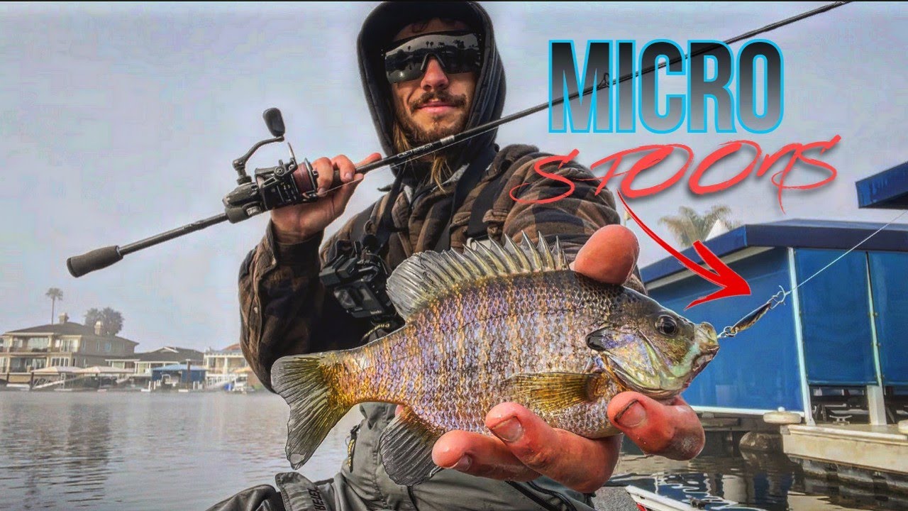 Spooning Deep Docks For Winter Time Pan Fish | Ca Delta Blue Gill ...