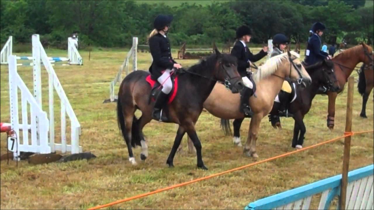 Callington Horse Show (Our First show) - YouTube