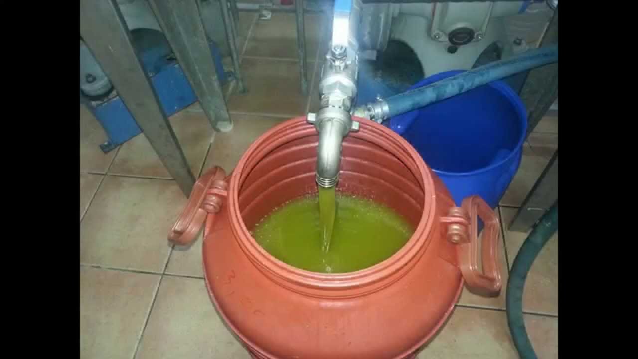 Παραγωγη ελαιολαδου στην Κυμη Ευβοιας. Olive oil procuction in Kymi ...