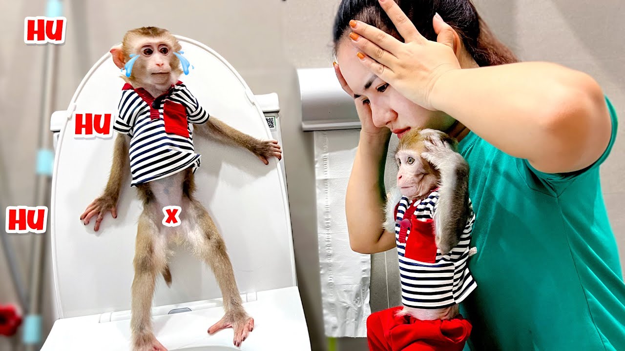 Kaka Got Into Trouble In The Toilet! - YouTube