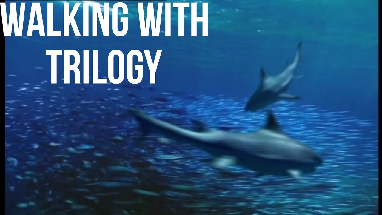Walking with Trilogy All Shark Scenes - YouTube